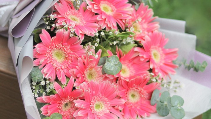 The Gorgeous Gerberas: Meaning, Color Guide & Symbolism | FlowerStore.ph