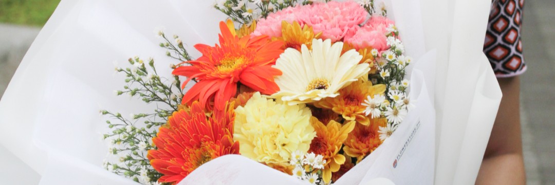 The Gorgeous Gerberas: Meaning, Color Guide & Symbolism | FlowerStore.ph