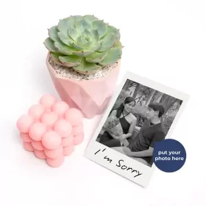 Truce & Tranquility - Online Gift Delivery - Philippines Online Flowers ...