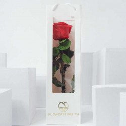 Preserved Single-Stemmed Rose. (Red) - Online Gift Delivery ...