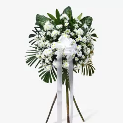 Everlasting Comfort - Potico.ph | Gifts For Any Occasion