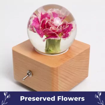 Crystal Ball Music Box - Potico.ph | Gifts For Any Occasion