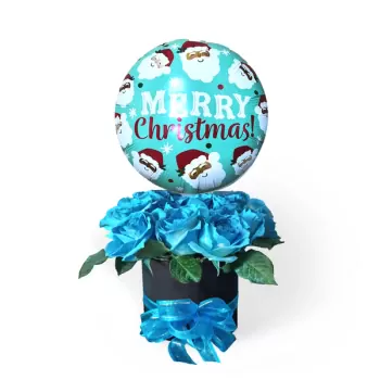 Merry Blue Allure - Online Gift Delivery - Philippines Online Flowers ...