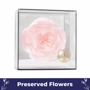 Infinity Blossom - FlowerStore.ph | Same-Day Flower Delivery