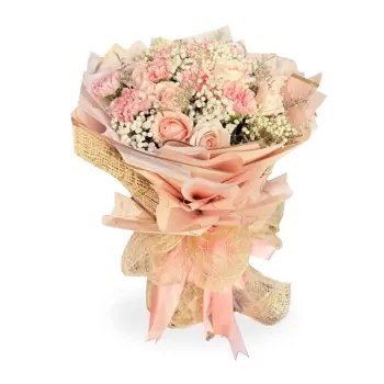 Cotton Candy Carnation - Online Gift Delivery - Philippines Online ...