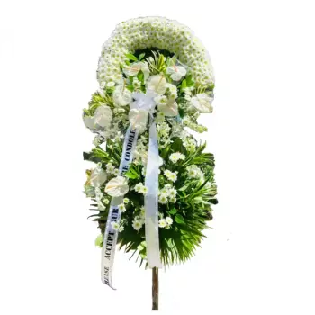 Salvation - Online Gift Delivery - Philippines Online Flowers ...