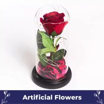 Enchanted Rose - Online Delivery Gifts - Philippines Online Flowers ...