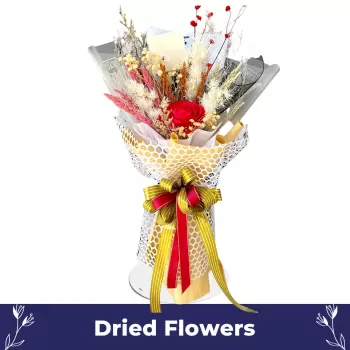 Preserved Perfection Potico Ph Gifts For Any Occasion