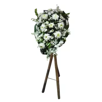 Comforting Blooms - Potico.ph | Gifts For Any Occasion