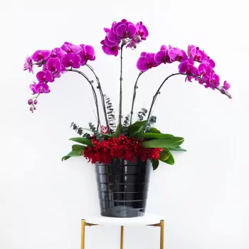 Sultry. - Online Gift Delivery - Philippines Online Flowers ...