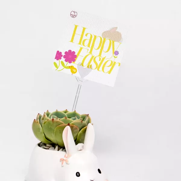 Lucky Easter Bunny - Potico.ph | Gifts For Any Occasion