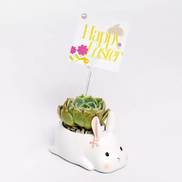 Lucky Easter Bunny - Potico.ph | Gifts For Any Occasion