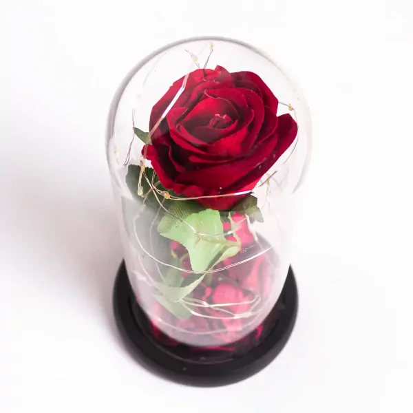 Enchanted Rose for Sale Philippines | FlowerStore.ph - FlowerStore.ph ...