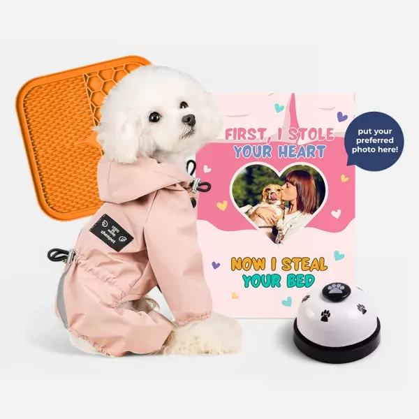 Pawfect FurParent's Bundle - Potico.ph | Gifts For Any Occasion