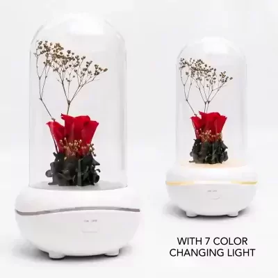 Rose Diffuser - Online Gift Delivery - Philippines Online Flowers ...