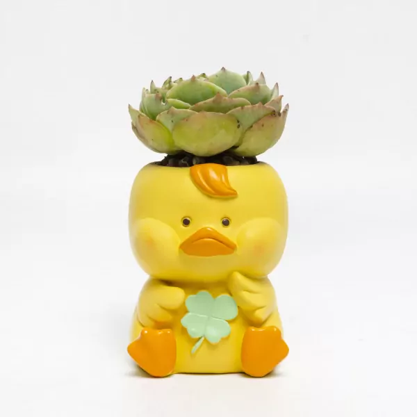 Lucky Ducky - Potico.ph | Gifts For Any Occasion
