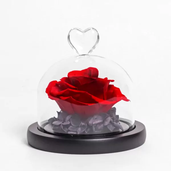 Eternal Love Rose - FlowerStore.ph | Same-Day Flower Delivery