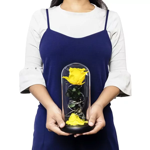 Luminous Belle Rose - Online Gift Delivery - Philippines Online Flowers ...