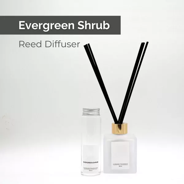 Evergreen Shrub Reed Diffuser - Potico.ph | Gifts For Any Occasion