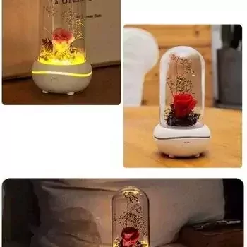 Rose Diffuser - Online Gift Delivery - Philippines Online Flowers ...