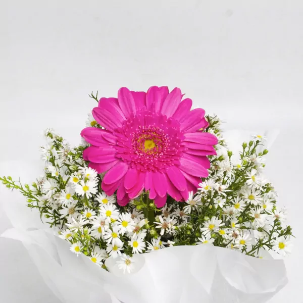 Pink-a-Boo - Online Gift Delivery - Philippines Online Flowers ...