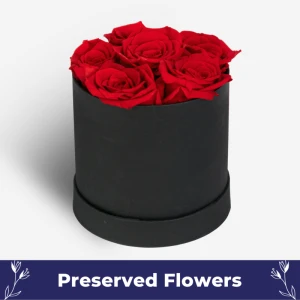 Midnight Ruby Bloom Box - Preserved Red Roses - Potico.sg | Gifts for any Occasion