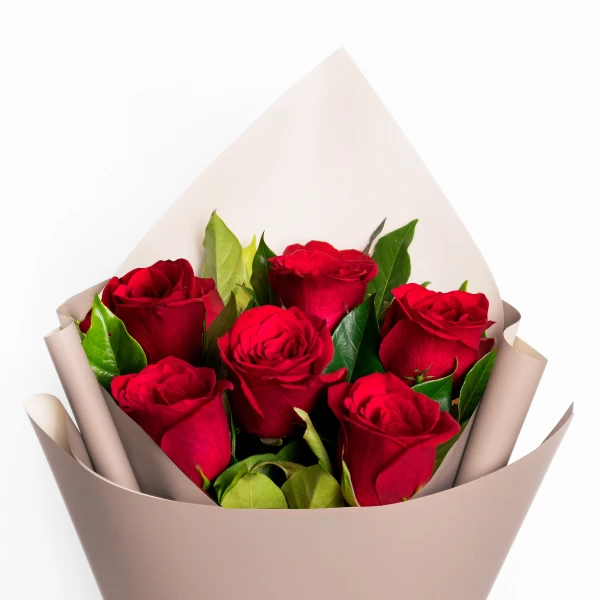 My Darling - 6 Red Roses - Potico.sg - Potico.sg | Gifts for any Occasion