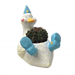 Cactus Duck - Potico.co.th | Same-Day Flower Delivery | Best Rated ...