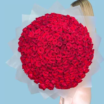 200 Red Roses Bouquet - Potico.co.th | Same-Day Flower Delivery | Best ...