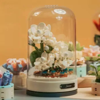 DIY Jasmine Music Box | Online gift Delivery | Flower delivery service ...