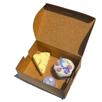 Black Rubber Tree Plant | Online gift Delivery | Flower delivery ...