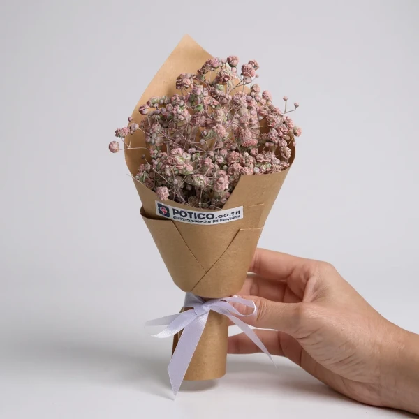 Wealthy Lucky Plant Gift Set| Online gift Delivery | Flower delivery ...