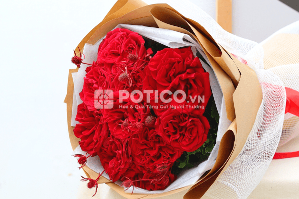 Red Rose - Potico.vn | Same-Day Flower Delivery | Awesome Gift Ideas